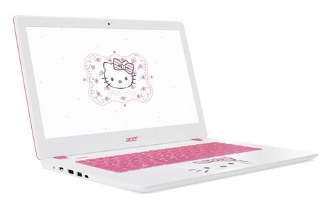 Hello Kitty Laptop Id