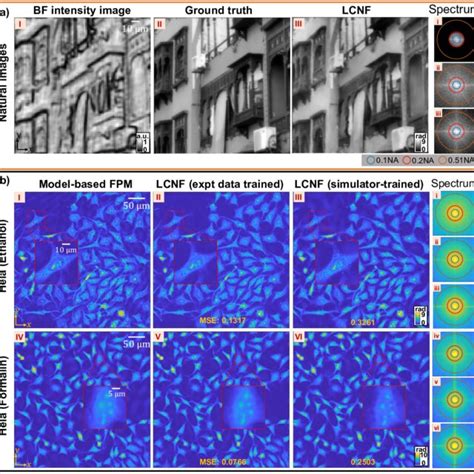 Generalization Ability Of Experimental Data Trained Lcnf Network Download Scientific Diagram