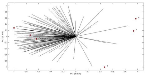 Shows The Internal Preference Map Where Each Vector Corresponds To A Download Scientific
