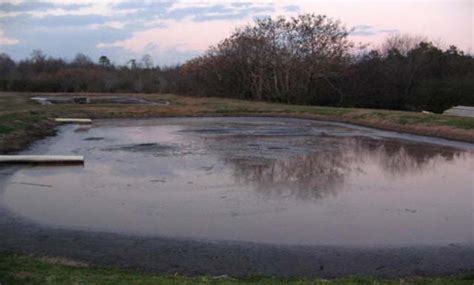 Revitalizing A Hog Waste Lagoon