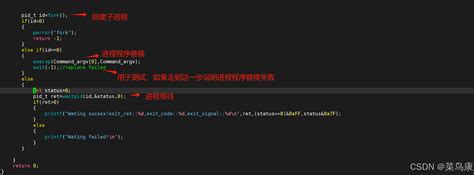 Liunx系统编程——shell的简单实现linux设计shell程序 Csdn博客
