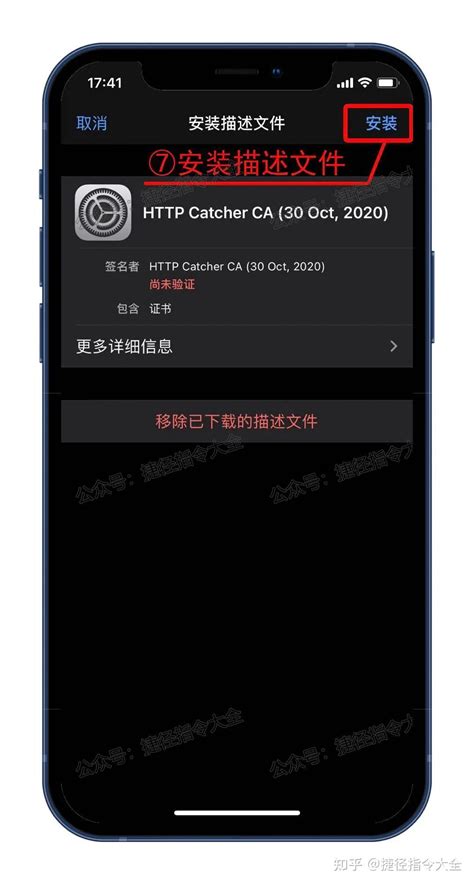 Ios Httpcatcher