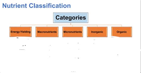 Nutrient Classification Diagram Diagram Quizlet