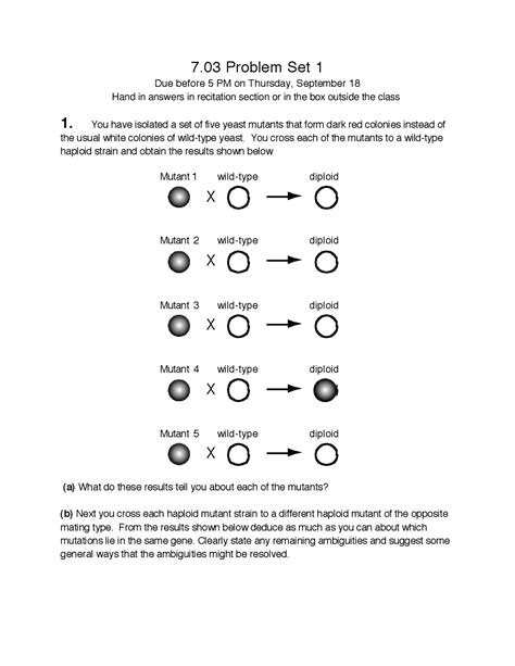 Genetics Practice Problem Set 1 Docsity