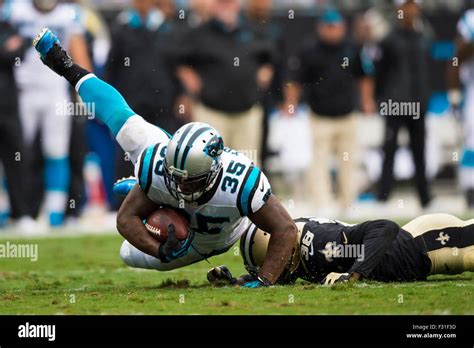 Mike Tolbert Wallpaper