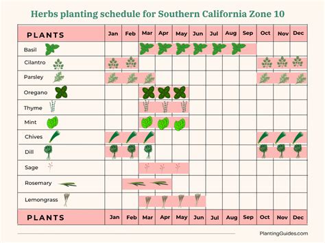 Southern California Zone 10 Planting Calendar