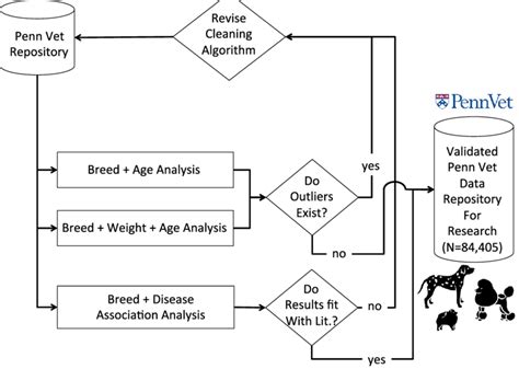 Schematic Diagram Illustrating The Validation And Iterative Refinement Download Scientific
