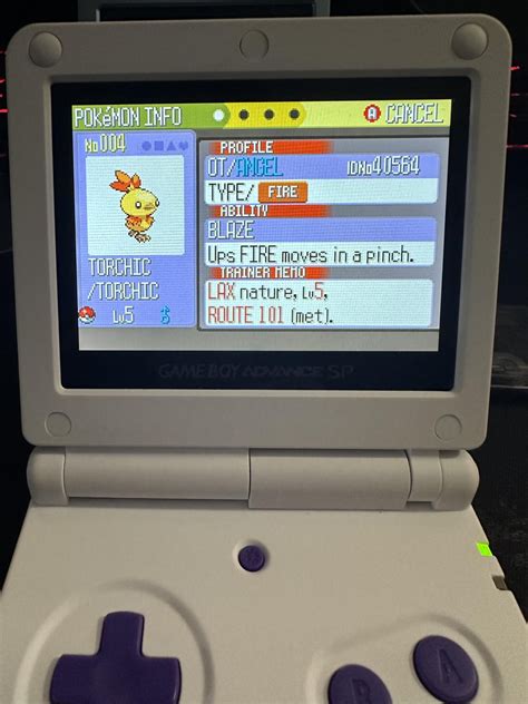 [3] Shiny Torchic After 7916 48773 Total Srs 6 Shiny Pooches R Shinypokemon
