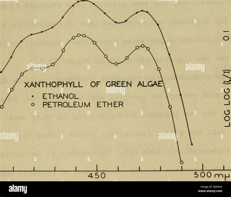 Xanthophyll Absorption Spectrum