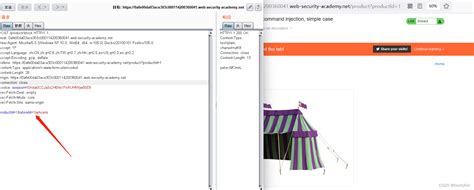 Burpsuite靶场系列之os命令注入os Command Injection Simple Case Csdn博客