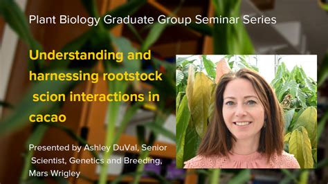 Plant Biology Graduate Group Seminar Series Understanding And