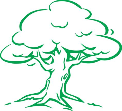 Oak Tree Drawing Color