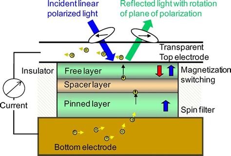 Cross Section Of The Light Modulation Device Download Scientific Diagram