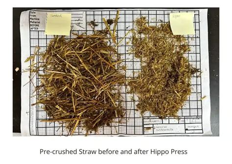 Biomass Testing Validate Your Material Secure Your Investment Saalasti