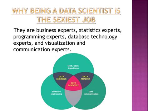Data Scientist The Sexiest Job Of 21st Century PPTX