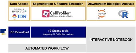 Cellprofiler Now Available In Galaxy Galaxy Community Hub