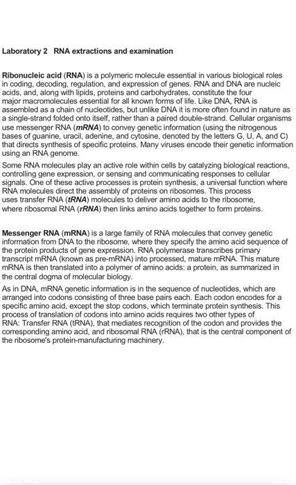 Solved Laboratory 2 Rna Extractions And Examination
