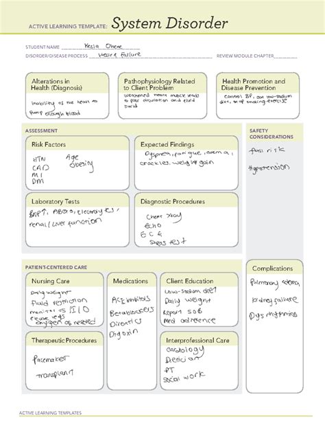 System Disorder Ati Assignment Active Learning Templates System