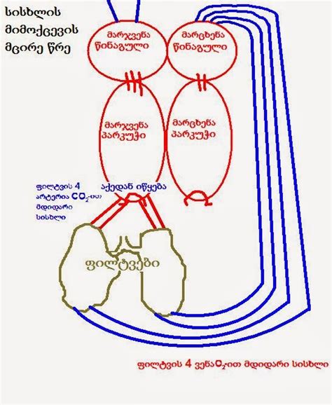 იამზე ჭეიშვილი გეგმის პრეზენტაცია