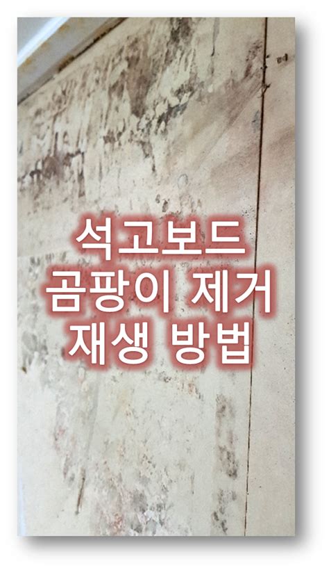 누수 후 석고보드 곰팡이 결로 후 석고보드 곰팡이 제거 및 재생밥법에 관하여 서울 신길동 신길뉴타운 아파트 벽지 곰팡이 제거 석고보드 곰팡이 제거 후 곰팡이방지 단열벽지