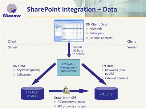 PPT SharePoint Search PowerPoint Presentation Free Download ID