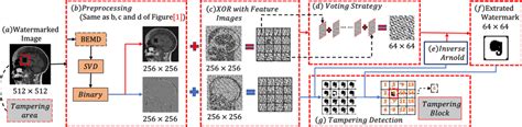 Flowchart Of Watermark Extraction And Tampering Detection Algorithm A
