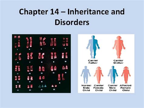 Chapter Inheritance And Disorders Complex Patterns Of