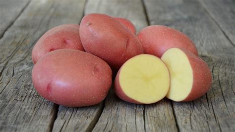 Топ 10 ранних сортов картофеля выбор фермеров и садоводов