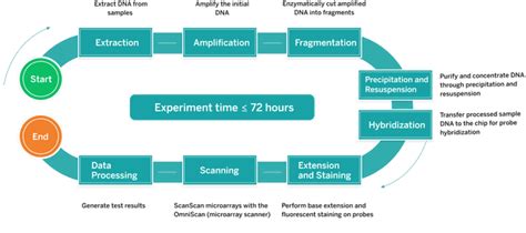 Laso Biotech Genotyping Workflow