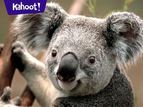 Combined Las Vacaciones ¿qué Hiciste De Vacaciones Preterito Regular Y Serir Preter