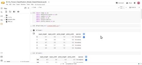 Shagun Davessar On Linkedin Oasisinfobyte Datascience Machinelearning Internshipexperience…
