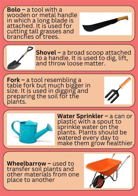 Week 5 Module 5 Propagation Of Trees In 2023 Farm Tools And Equipment Farm Tools Modern