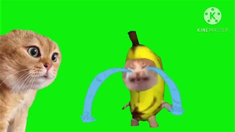 【猫ミーム素材？】説教猫とバナナ猫 Youtube