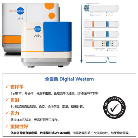 技术控 靶向蛋白降解药物研发技术盘点！ 知乎