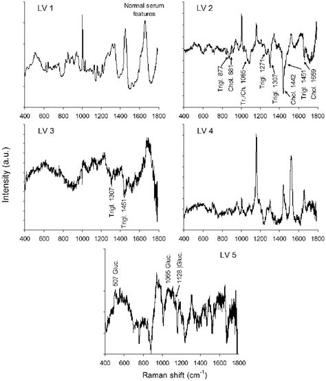 Plot Of The First Five Pca Loading Vectors Lv With Positive As Well