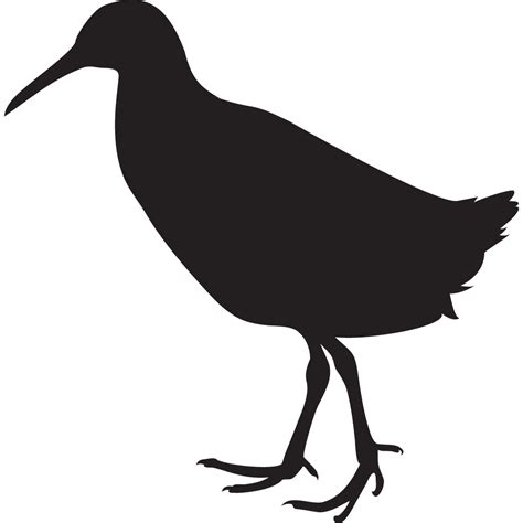 Sora Overview All About Birds Cornell Lab Of Ornithology