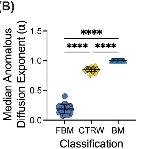 Np Mobility In Human Mucus Is Highly Dependent On The Mode Of Download Scientific Diagram