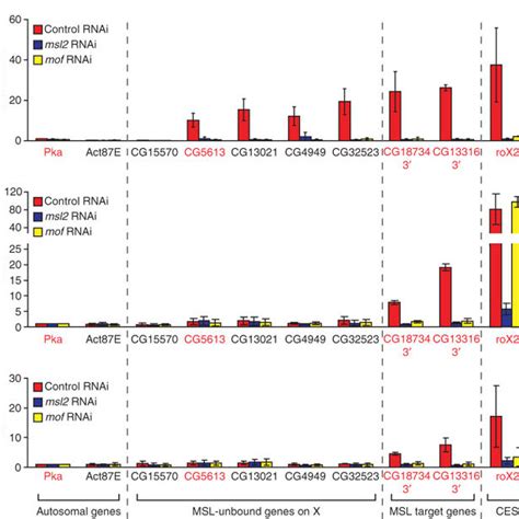 —distribution Of The Msl Complex In The Mof Mutant As Revealed By Msl 1 Download Scientific