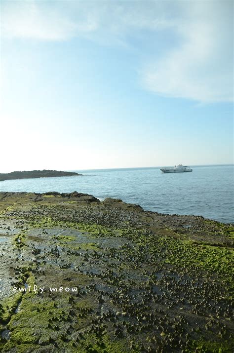 Emi Emily Meow Flickr