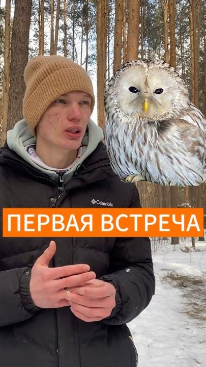 Сова получила травму позвоночника,теперь она не способна к жизни на ...