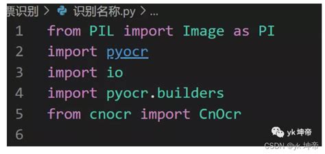 基于python的发票识别与机器学习（保姆式教程） 基于pytorch发票识别 csdn博客
