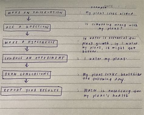 [solved] Q Draw A Flow Chart Of The Scientific Method And Use Your