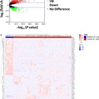 A Volcano Plot Showing The Differential Expression Of Long Noncoding