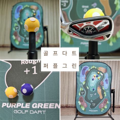 집에서 하는 풀스윙 홈트레이닝 실내골프스윙연습기 퍼플그린 골프다트 개봉기 네이버 블로그