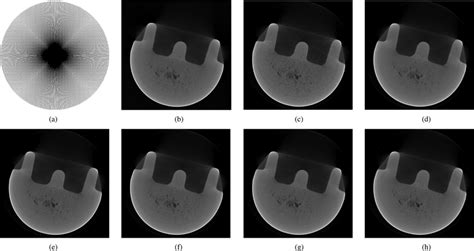 A The Frequency Sampling Pattern For 180 Uniform Angle Projections Download Scientific