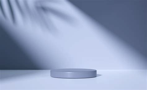 3d 회색 실린더 무대 연단에는 야자수 잎 그림자가 있고 추상적인 기하학적 화장품 쇼케이스 받침대 회색 배경이 있다 최소한의 현대 장면 3d 렌더링 일러스트레이션 0명에