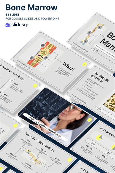 Bone Marrow In 2025 Bone Marrow Presentation Power Point Template