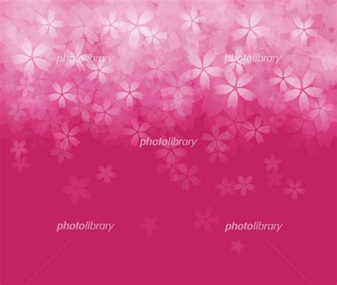 桜のイラストとピンクのパステルの背景 イラスト素材 [ 5823751 ] フォトライブラリー Photolibrary