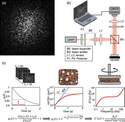Tutorial On Laser Speckle Rheology Technology Applications And
