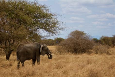 How Kaczmarz Methods Is Used In Machine Learning Part4 By Monodeep